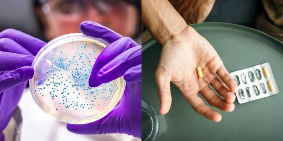 La OMS sobre las Bacterias Farmacorresistentes | vozenvoz